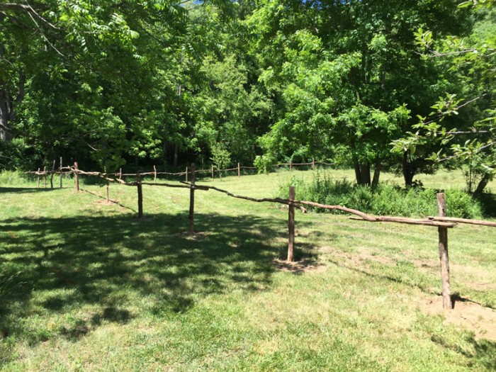 New Trail Fence in the Orchard - Hickory Nut Forest